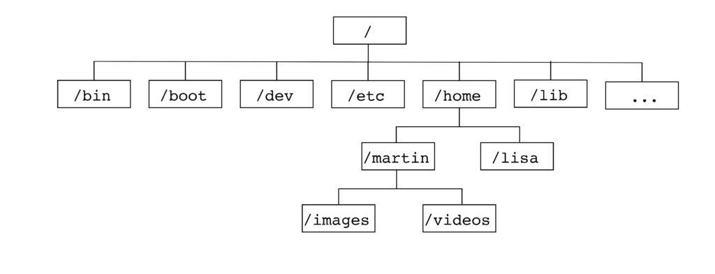 Comprendre l’arborescence de Linux - Raspberry Pi France